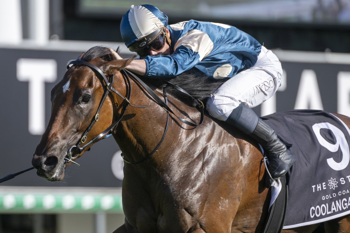 Magic Millions 2023 Interest